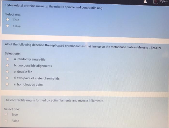 Solved Hope » Cytoskeletal proteins make up the mitotic | Chegg.com