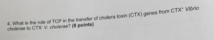 Solved What is the role of TCP in the transfer of cholera | Chegg.com