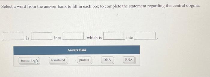 Solved Select a word from the answer bank to fill in each | Chegg.com