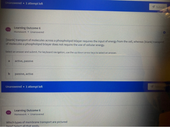 Solved Unanswered • 1 attempt left Submit Learning Outcome 6 | Chegg.com