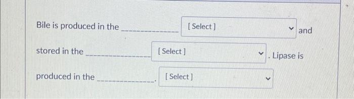 Solved Bile is produced in the [ Select] and stored in the [ | Chegg.com