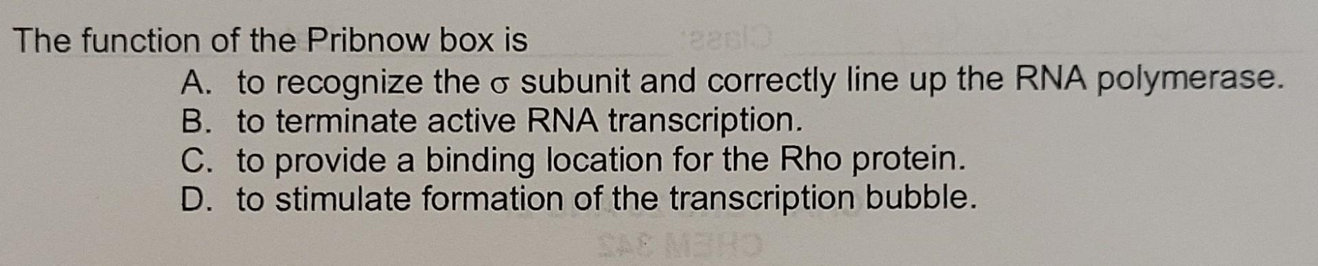 Solved The function of the Pribnow box is A. to recognize | Chegg.com