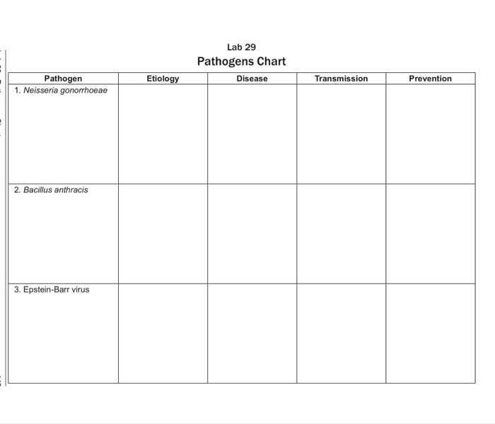 Solved Lab 29 Pathogens Chart Disease Etiology Transmission | Chegg.com