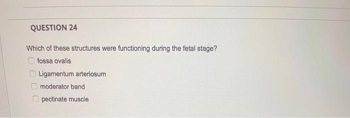 Solved Which of these structures were functioning during the | Chegg.com