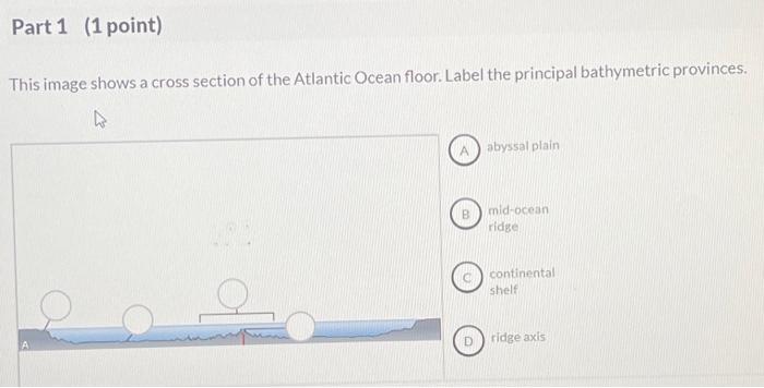 Part 1 (1 point) This image shows a cross section of | Chegg.com