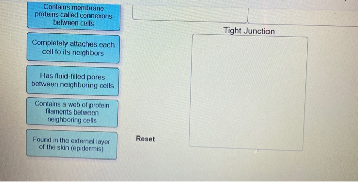 Solved Classify the descriptions into the correct categories | Chegg.com