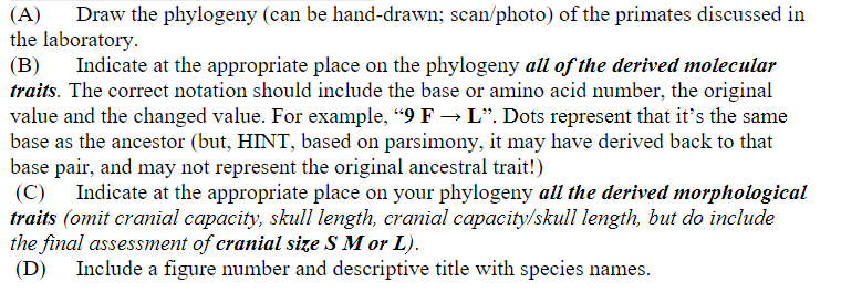Solved I'm making a Primate Phylogeny. These are the | Chegg.com