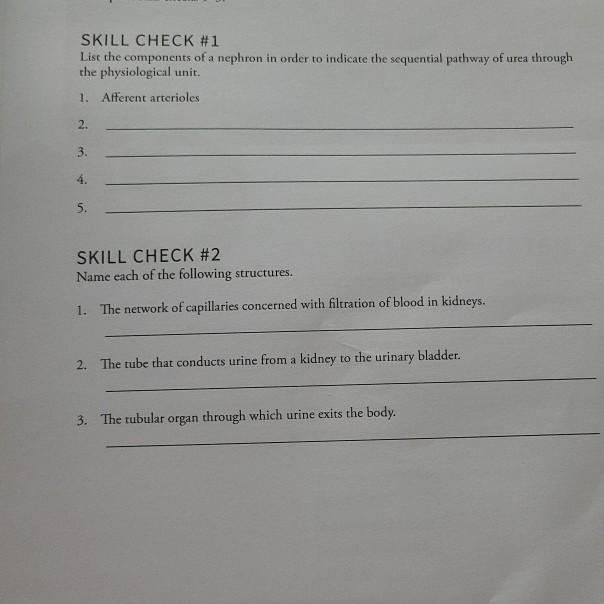 Solved SKILL CHECK #1 List the components of a nephron in | Chegg.com