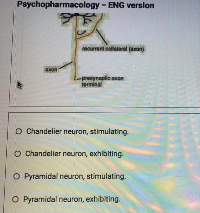 Solved In the picture below you see a schematic overview of | Chegg.com