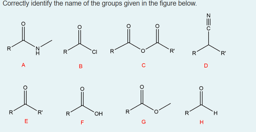 Solved Correctly identify the name of the groups given in | Chegg.com