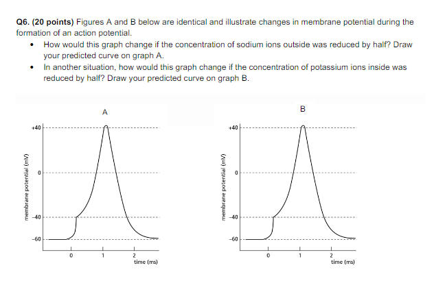 Solved Q6. (20 ﻿points) ﻿Figures A and B ﻿below are | Chegg.com