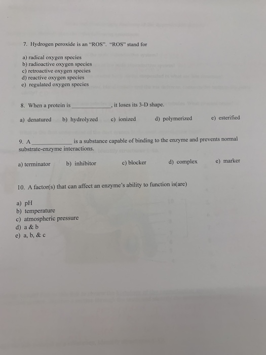 Solved Enzymatic Catalysis Pre-Lab Questions 1. What is the | Chegg.com