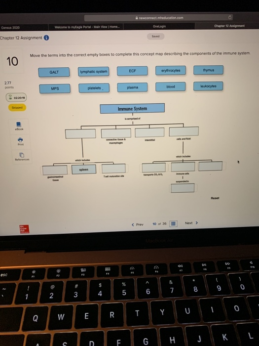 Solved newconnect. meducation.com Con 2020 Welcome to my | Chegg.com