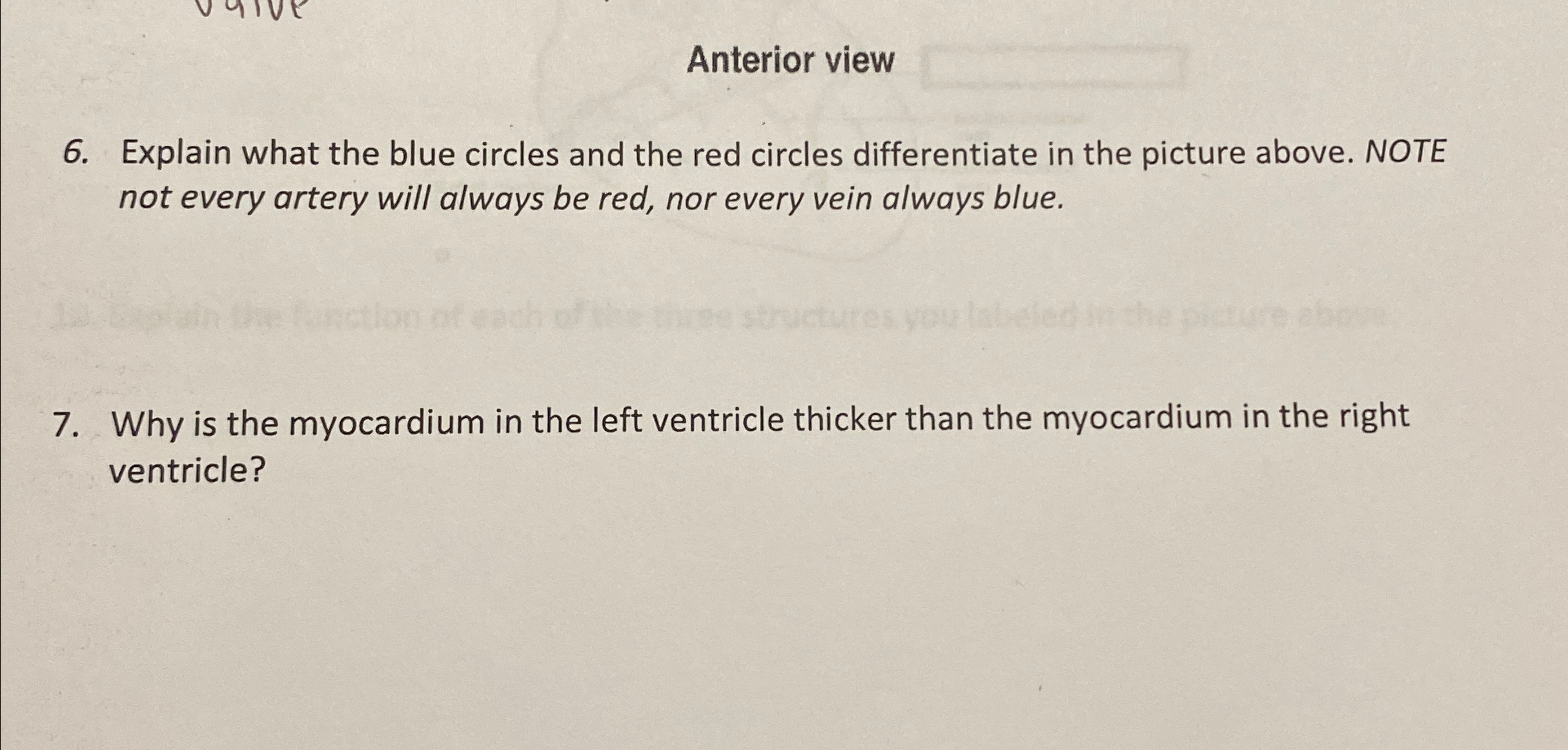 Solved Anterior view6. ﻿Explain what the blue circles and | Chegg.com