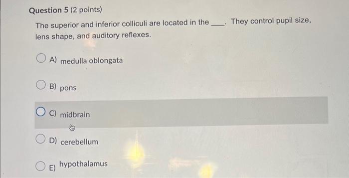Solved The superior and inferior colliculi are located in | Chegg.com
