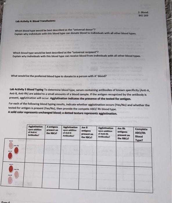 Solved 2- Blood BIO 169 Lab Activity 4: Blood Transfusions: | Chegg.com