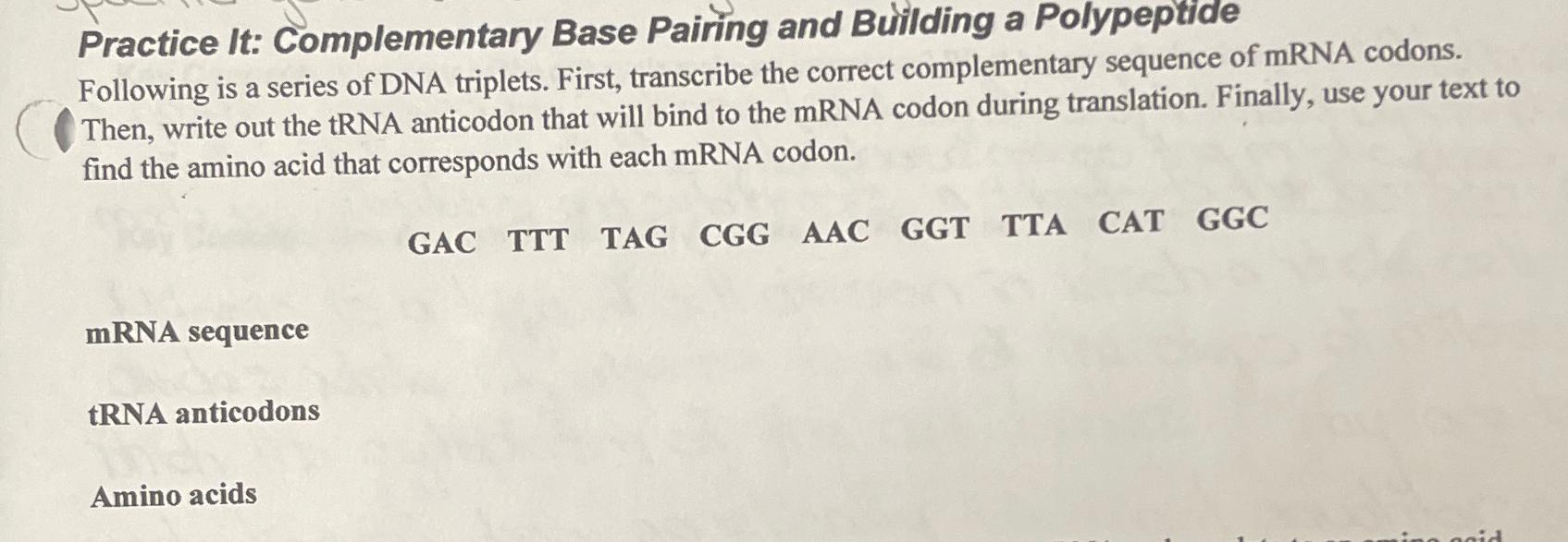 Solved Practice It: Complementary Base Pairing and Building | Chegg.com