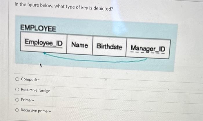 Solved In the figure below, what type of key is depicted? | Chegg.com