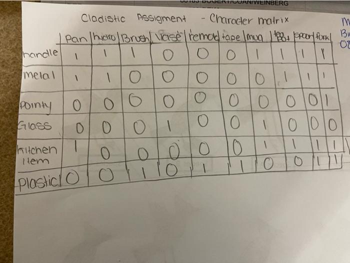 Solved i need help drawing my cladogramplease hlep me draw | Chegg.com