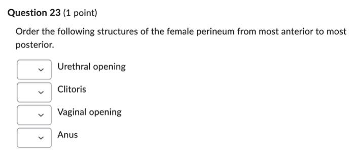 Solved Which part of the broad ligament touches the | Chegg.com