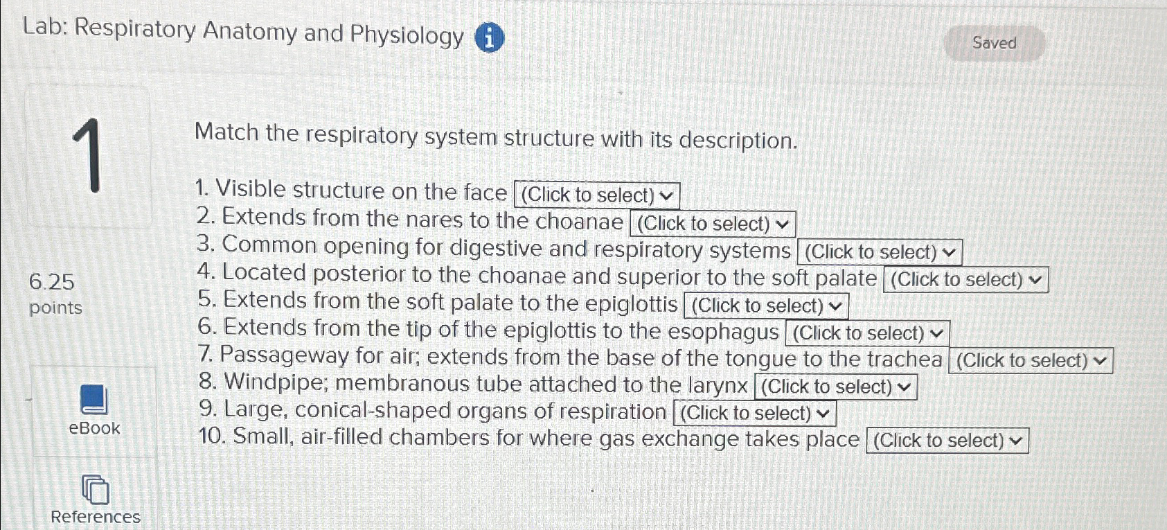 Solved Lab: Respiratory Anatomy and | Chegg.com
