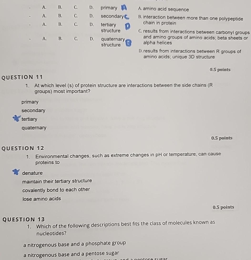 Solved A.B.C.D. ﻿primaryA. ﻿amino acid sequenceA.B.C.D. | Chegg.com