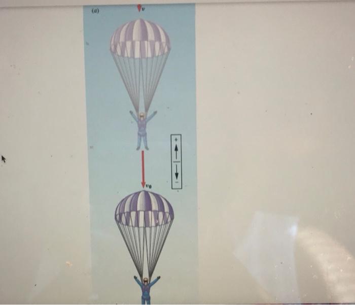 Solved A skydiver is falling straight down, along the | Chegg.com