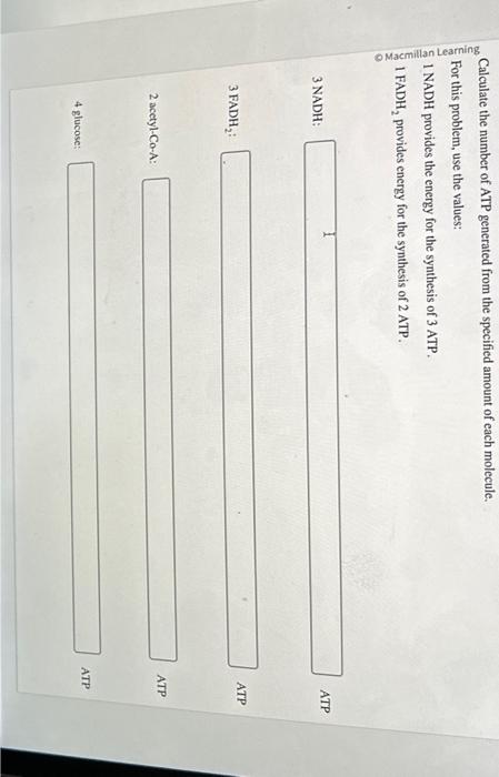 Solved Calculate the number of ATP generated from the | Chegg.com