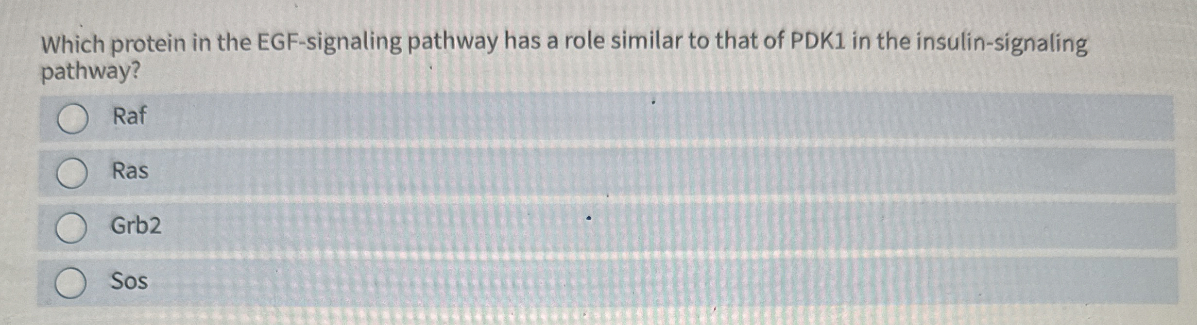 Solved Which Protein In The Egf Signaling Pathway Has A Role