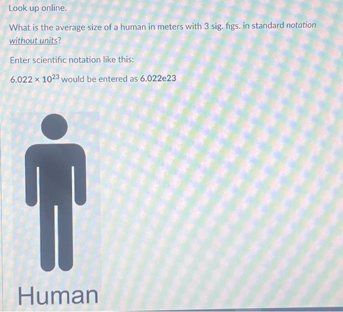 Look up online. What is the average size of a human | Chegg.com