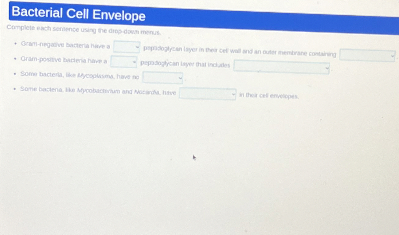 Solved Bacterial Cell EnvelopeComplete each sentence using | Chegg.com