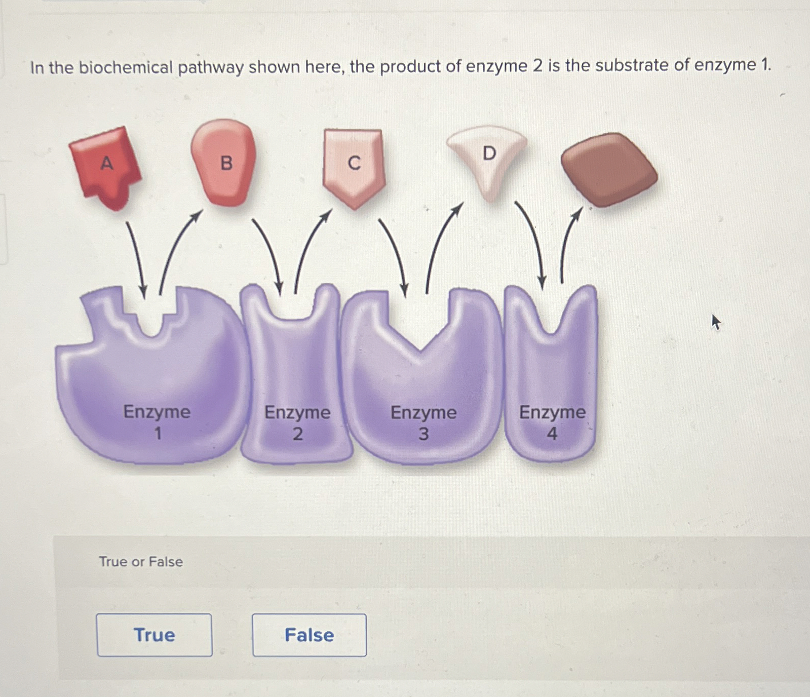 Solved In the biochemical pathway shown here, the product of | Chegg.com