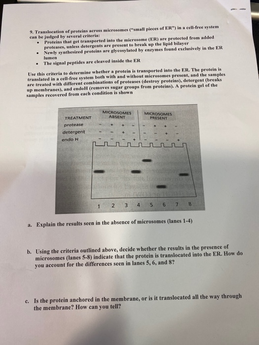 Solved 9. Translocation of proteins across microsomes | Chegg.com