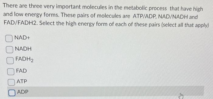 Solved There are three very important molecules in the | Chegg.com