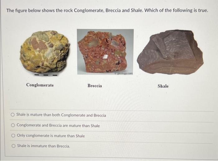 Solved The figure below shows the rock Conglomerate, Breccia | Chegg.com