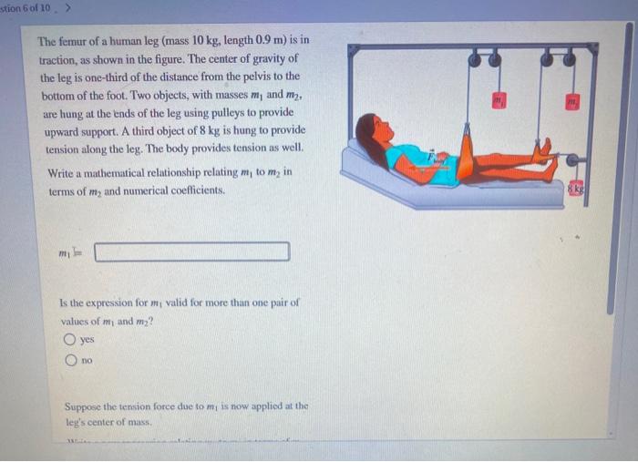 Solved stion 6 of 10 > The femur of a human leg (mass 10 kg, | Chegg.com
