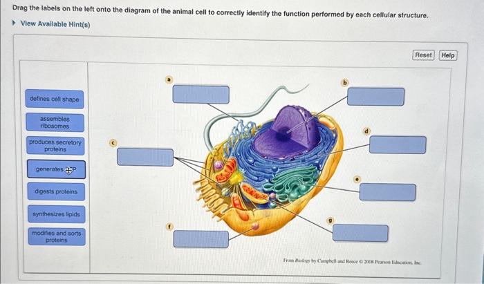 Solved Question | Chegg.com