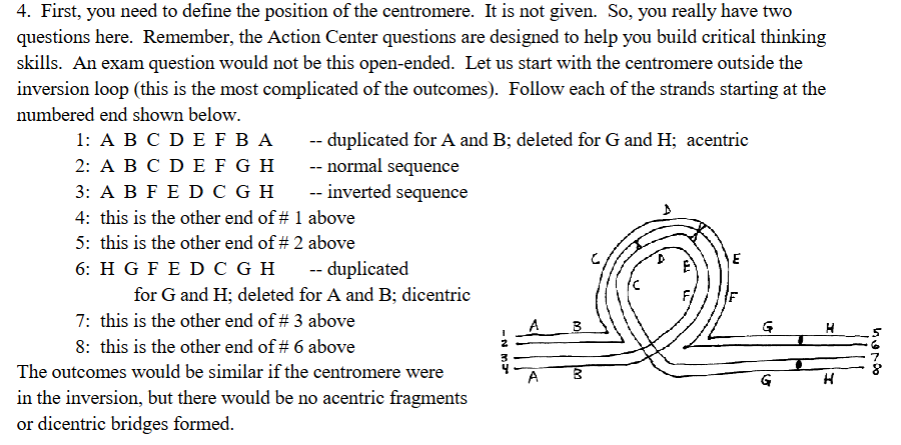 Solved Consider the following inversion heterozygote. What | Chegg.com