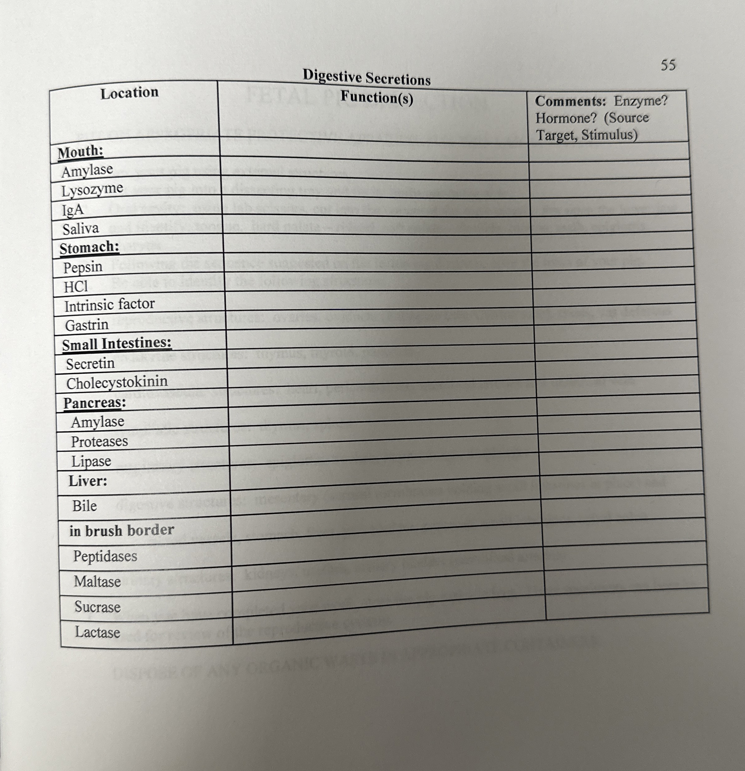 Solved Digestive Secretions55\table[[Location,Digestive | Chegg.com