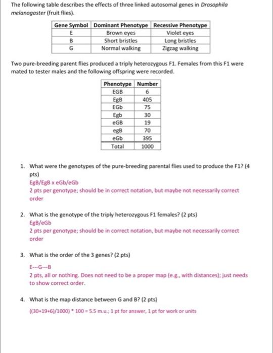 Solved please explain how to do these problems the answers | Chegg.com