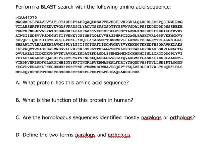 Solved Perform a BLAST search with the following amino acid | Chegg.com