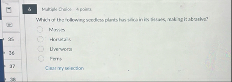 Solved 6Multiple Choice4 ﻿pointsWhich of the following | Chegg.com