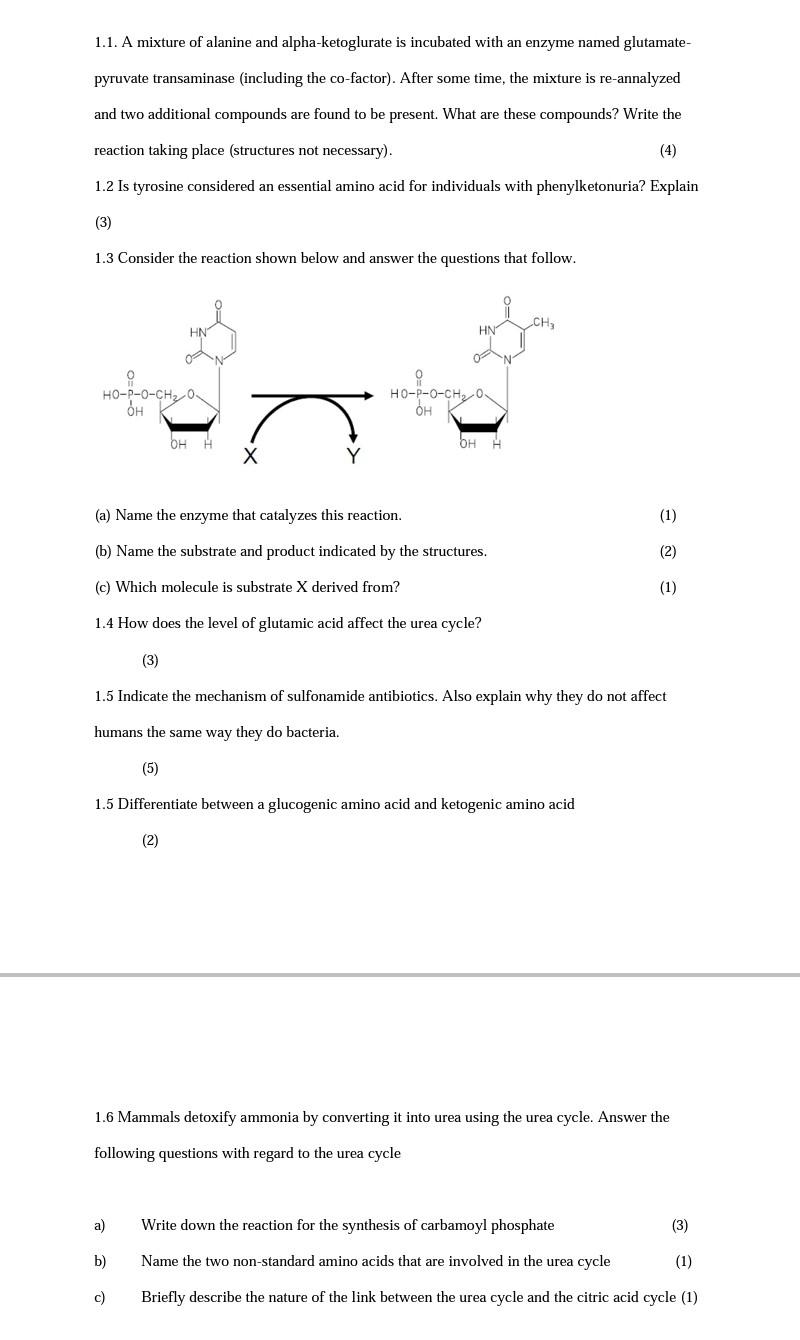 Solved 1.1. A mixture of alanine and alpha-ketoglurate is | Chegg.com