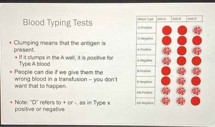 Solved Look over the picture to figure out the Blood Types | Chegg.com