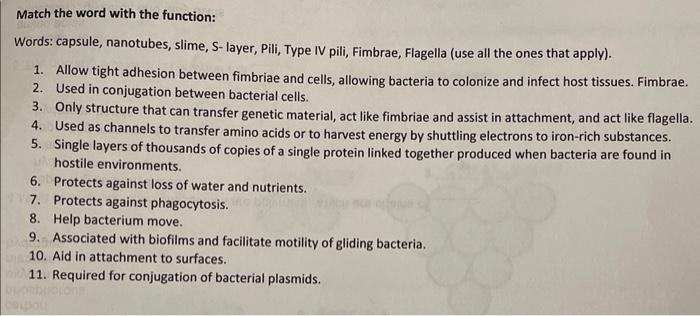 Solved In a piece of paper, create your own bacteria and | Chegg.com