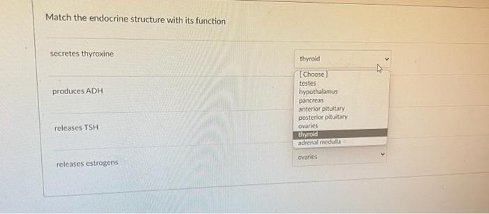 Solved Match the endocrine structure with its function | Chegg.com