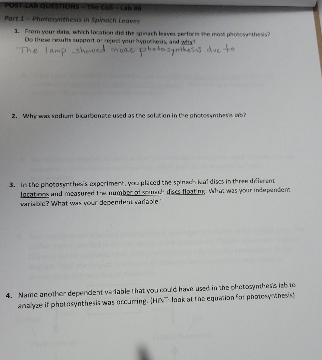Solved Has anyone done this lab # 6 from Carolina Labs? I | Chegg.com