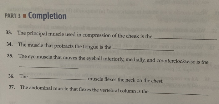Solved PART 3 - Completion 33. The principal muscle used in | Chegg.com