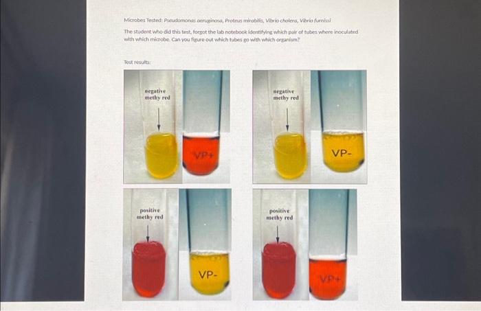 Microbes Tested: Pseudomonas aeruginosa, Proteus | Chegg.com