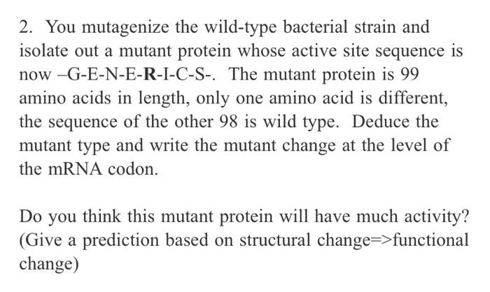 Solved 2. You mutagenize the wild-type bacterial strain and | Chegg.com